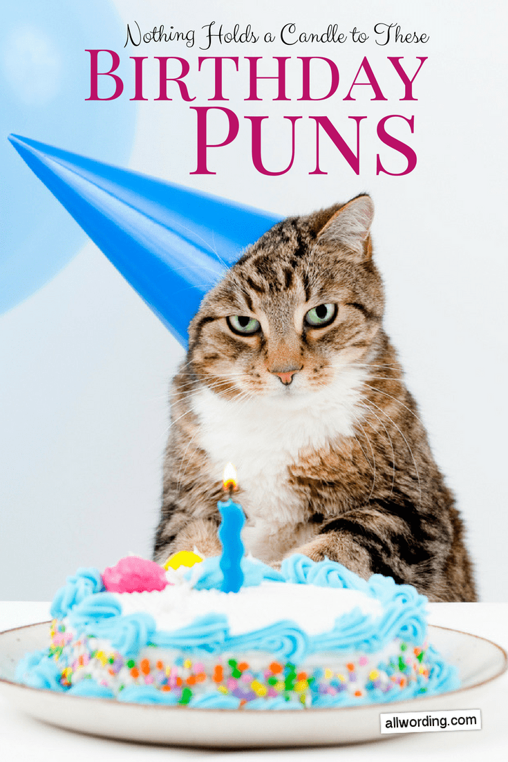 Nothing Holds a Candle to These Birthday Puns » AllWording.com