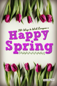 20+ Ways to Wish Everyone a Happy First Day of Spring » AllWording.com
