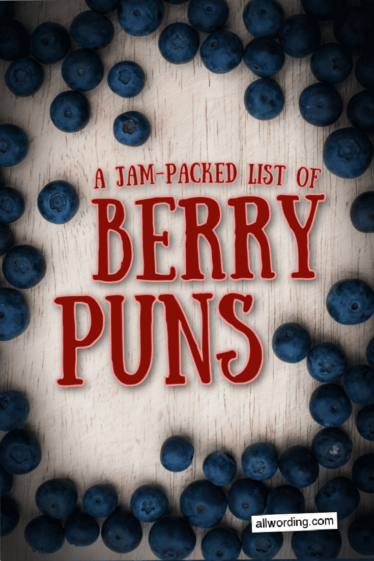 A Jam-Packed List of Berry Puns » AllWording.com