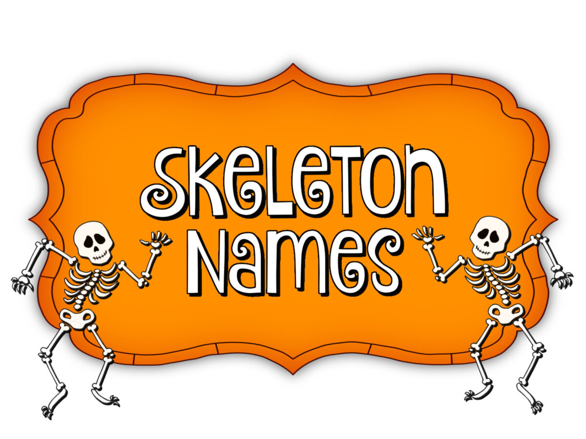 100+ Skeleton Names That Will Tickle Your Punny Bone » AllWording.com