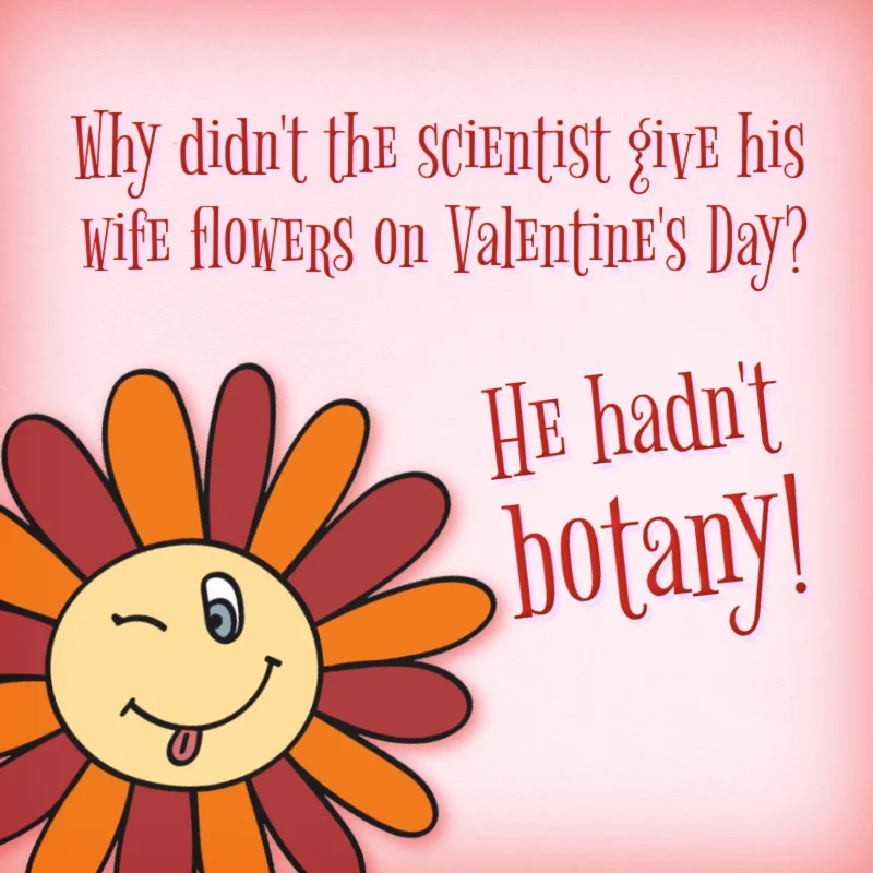 This List of Flower Puns Will Make Your Daisy » AllWording.com