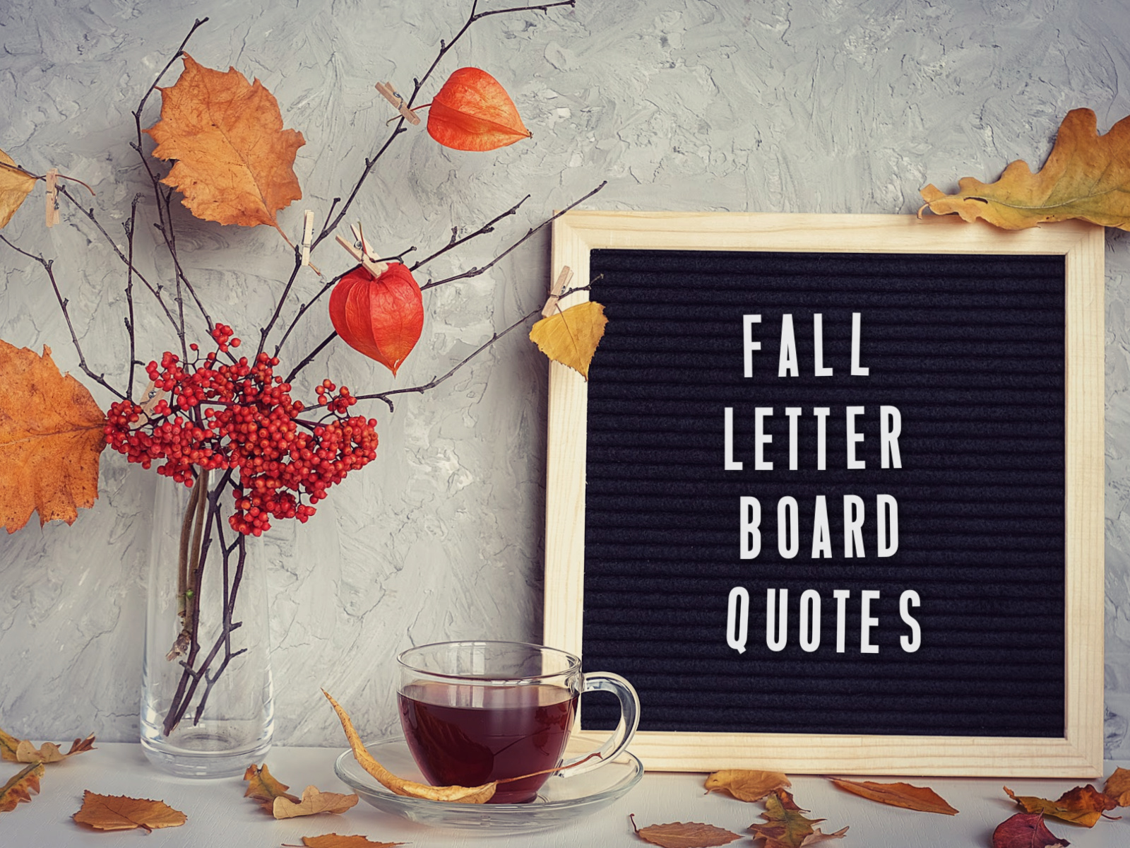 Letter Board Quotes: Funny Funky Fall Phrases » AllWording.com