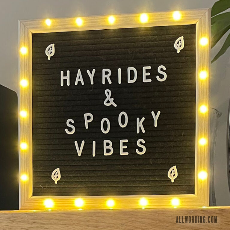 Letter Board Quotes: Funny Funky Fall Phrases » AllWording.com