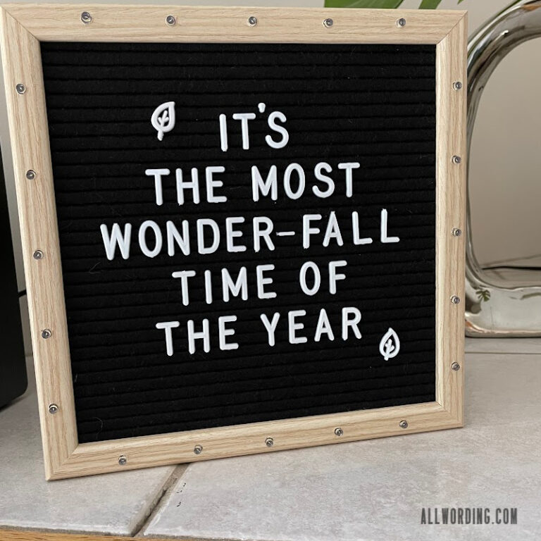 Letter Board Quotes: Funny Funky Fall Phrases » AllWording.com