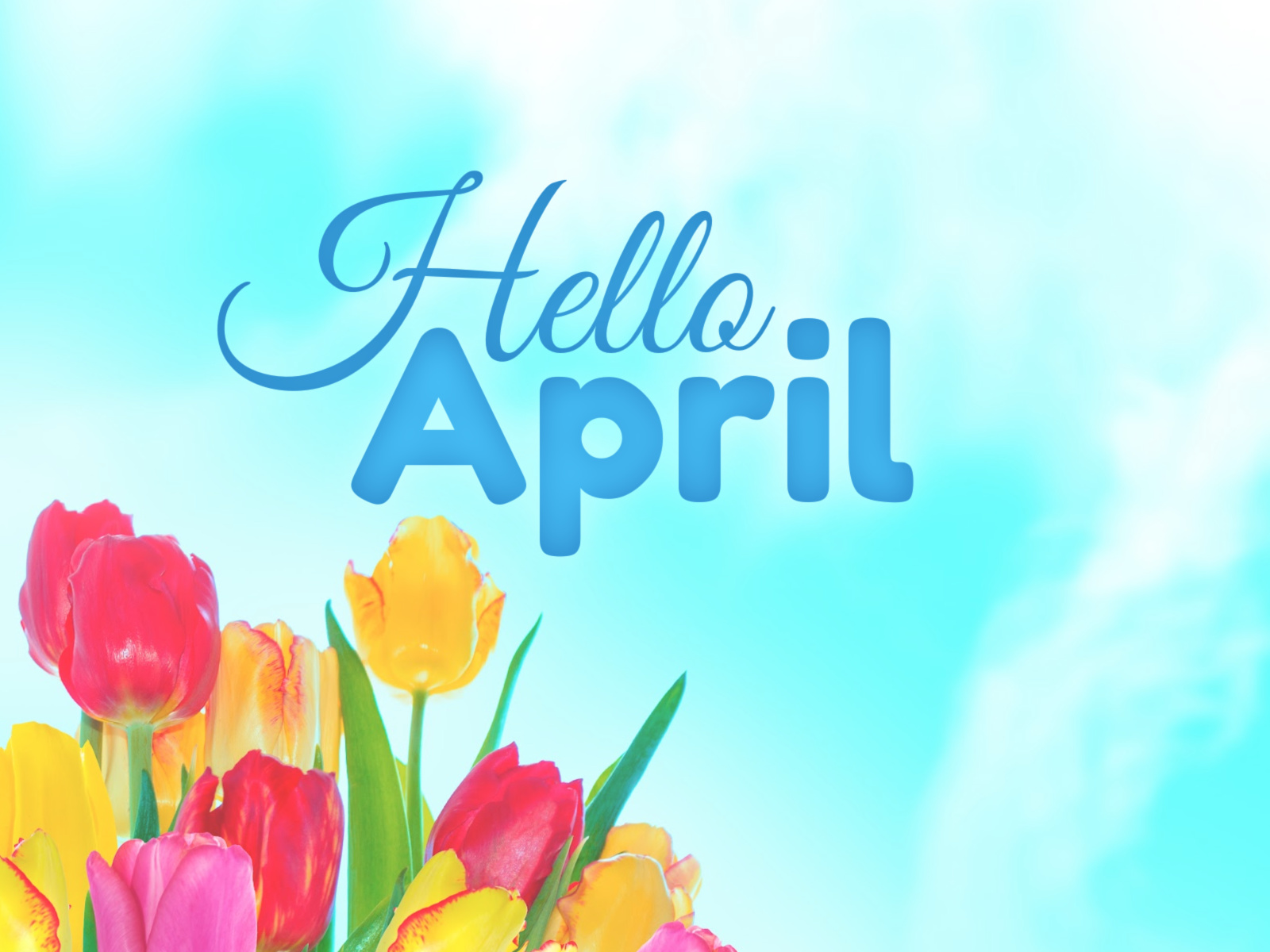 Foolproof Ways to Wish People a Happy April » AllWording.com